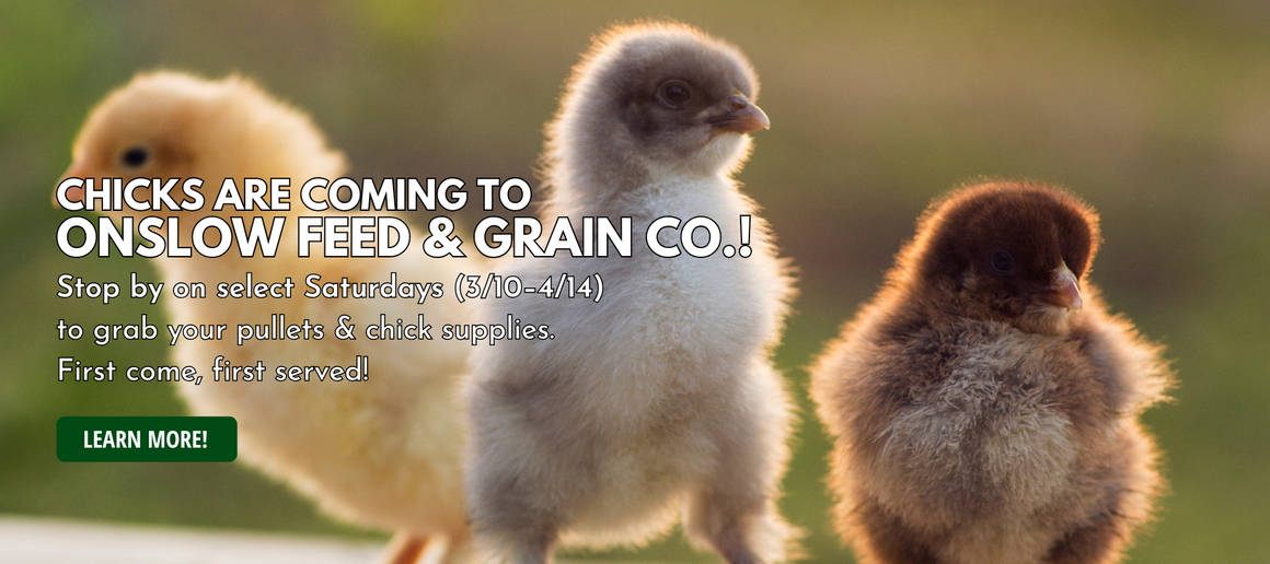 Animal Feed Store - Richlands, NC | Onslow Feed & Grain